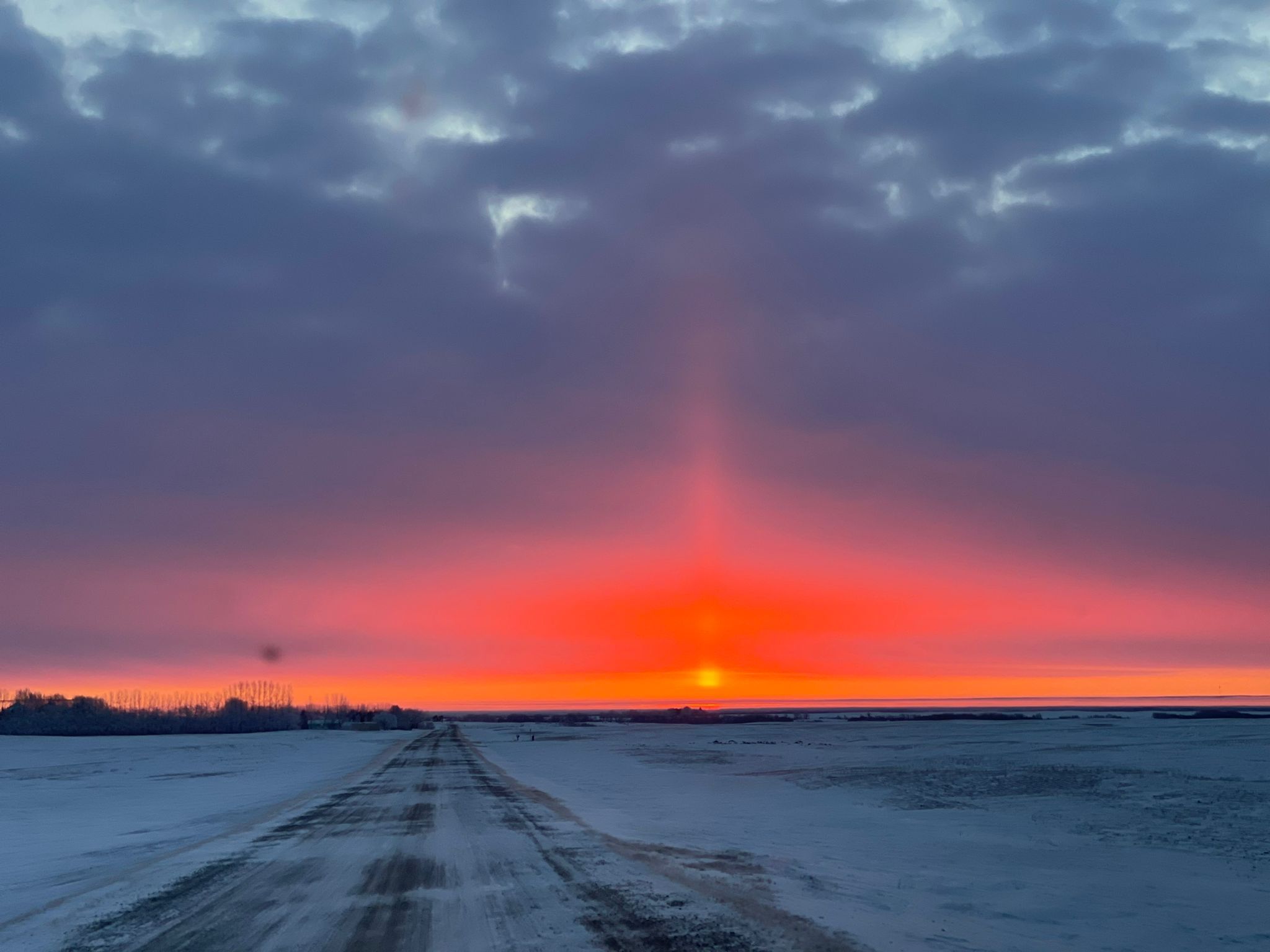 Connecting with Reliable South African Farm Labor Brokers: Tips and ...