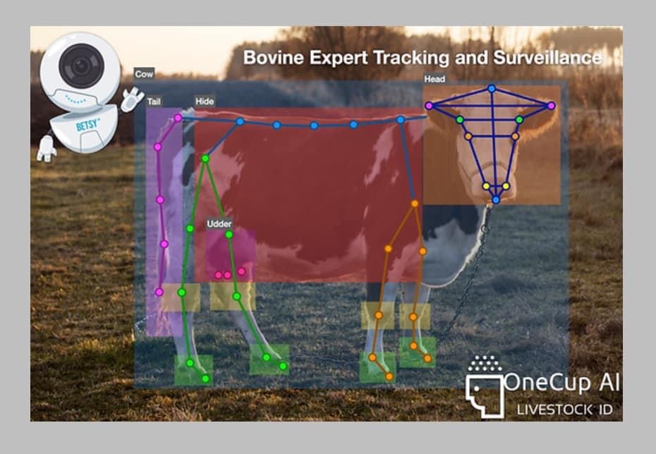 Real-world Reviews of AI One Cup Camera Technology in Feedlot and ...