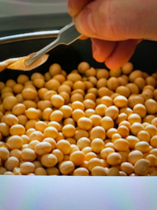 Examining Soybean Crop Grading and Official Declarations in Canada